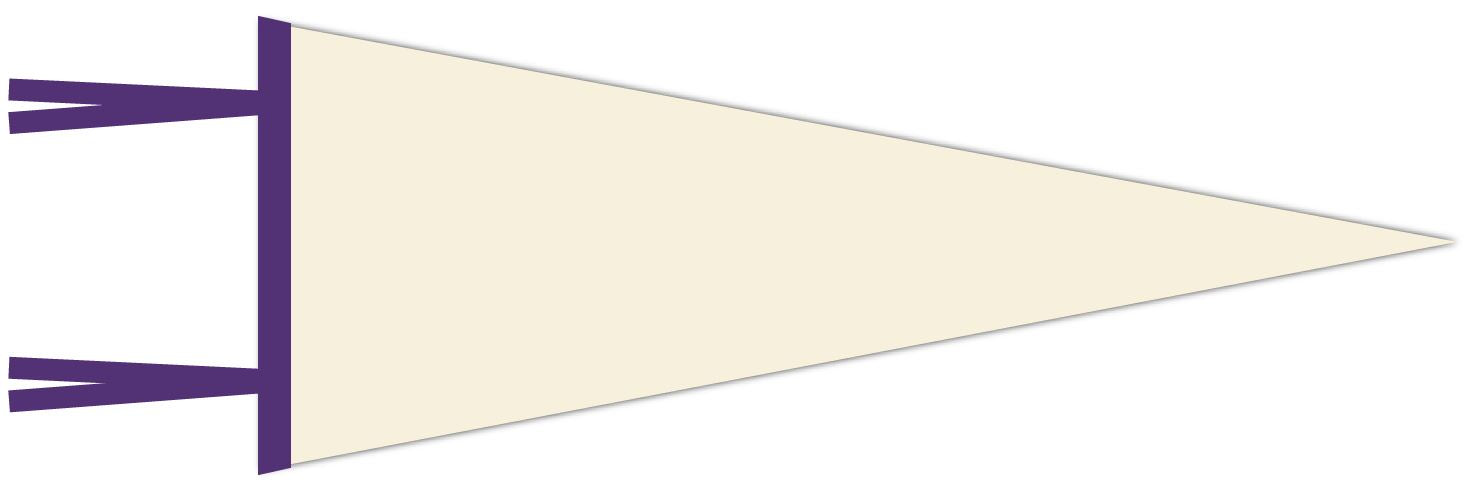 Cream / Purple Blank Pennant Flag – Libertypennants